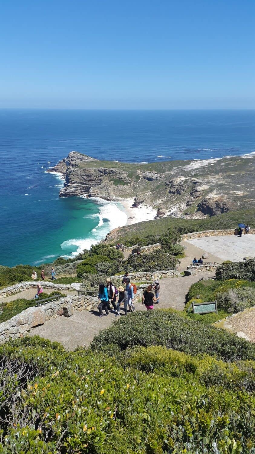 Shark Cage Diving Safety Guide (Gansbaai, South Africa)